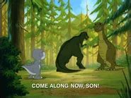 Sharptooth Type Land Before Time Wiki Fandom