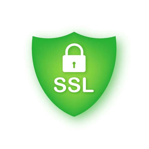 Secure Internet Connection Ssl Icon Ssl Safe Guard Vector Stock Illustration 29897016 Vector