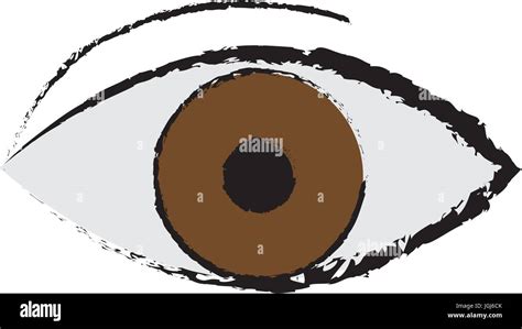 Eye Vision Surveillance System Security Concept Stock Vector Image