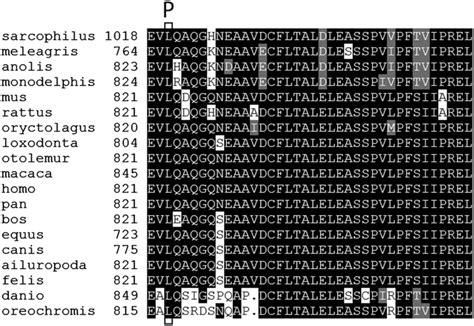 multiple sequence alignment of putative ttc7a orthologs showing the