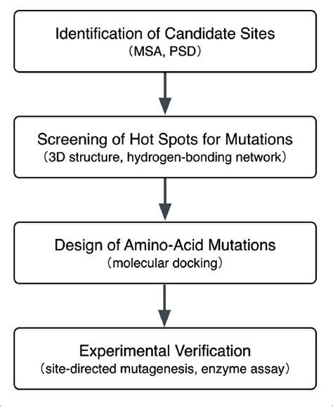 Flowchart Of The Computational Approach Used In This Study Download Scientific Diagram