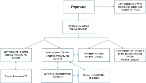 2 8 Evolution Of Initial Infection And Host Response Developing A