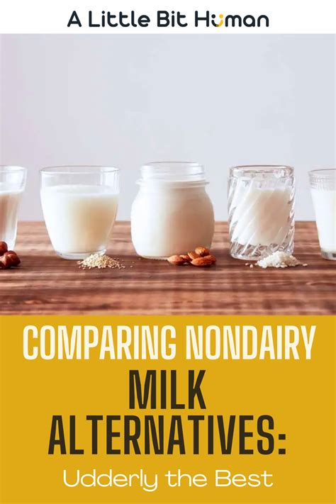 Milk Alternatives Artofit