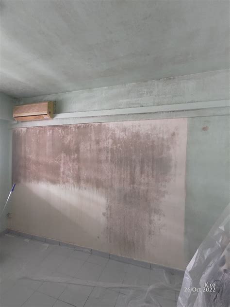 Mold Treatment And Sanitizingfogging 15 Off Now Home Services Home