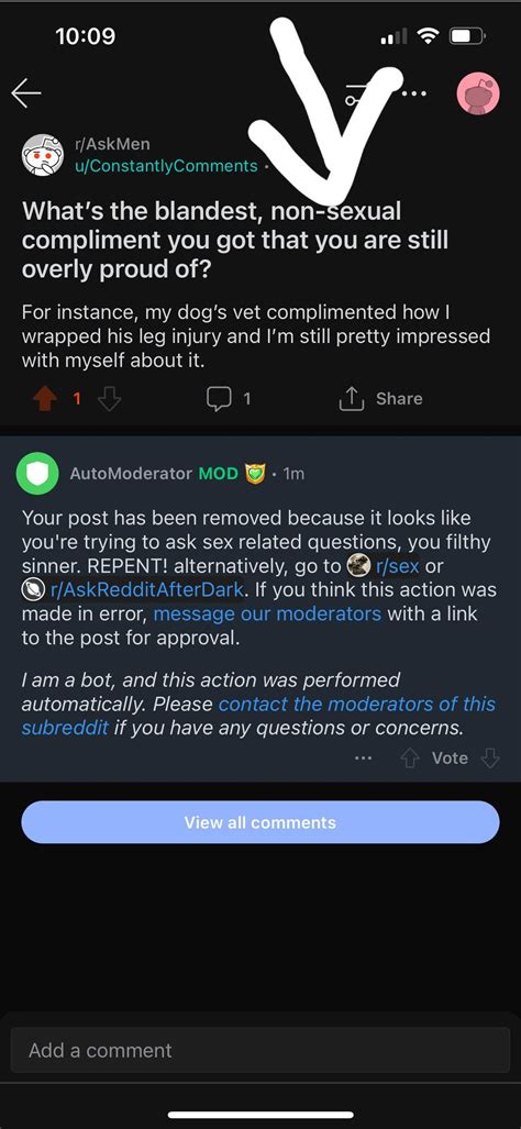 I Specifically Asked For Non Sexual Answers And It Was Auto Removed For