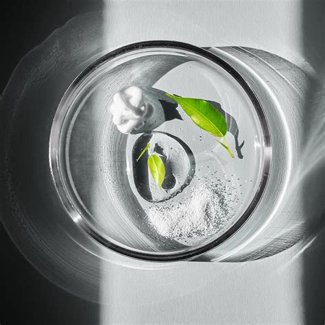 Sisel International Safe Health Wellness And Fitness Supplements Register