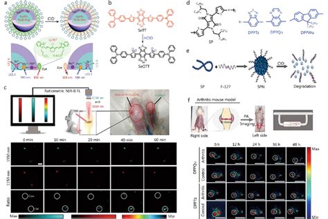 Structure And Application Of Nanofluorescent Probes For Detecting Hclo Download Scientific