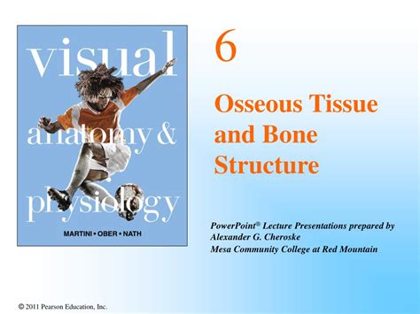 Ppt 6 Osseous Tissue And Bone Structure Powerpoint Presentation Free