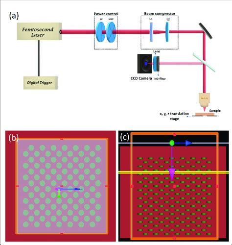 a schematic b c top and side view of the fdtd grid showing the