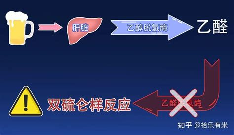 什么是双硫仑反应？服药过程需要注意什么？ 知乎