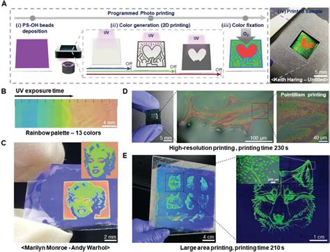 Fast And High‐resolution Color Printing By Photo‐tunable Mono Ptm