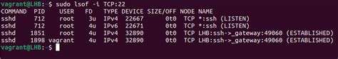 Linux でどのプロセスがポートを使用しているかを確認する