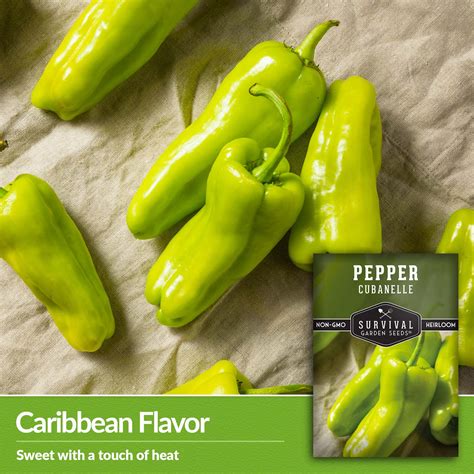 Cubanelle Pepper Seeds For Planting Survivalgardenseeds