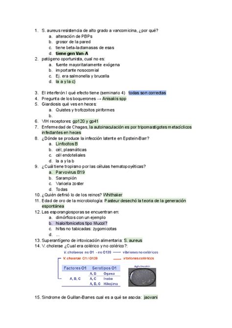 Examen Micro 2024pdf