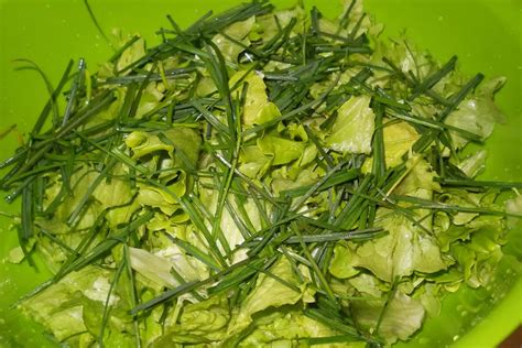 Salads With Chives 21 Recipes