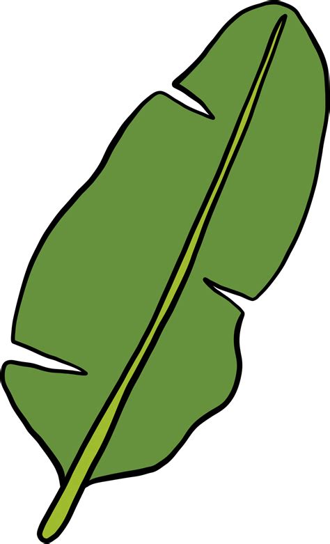 Free Simplicidad Hoja De Plátano Dibujo Continuo A Mano Alzada Diseño Plano 12664445 Png With