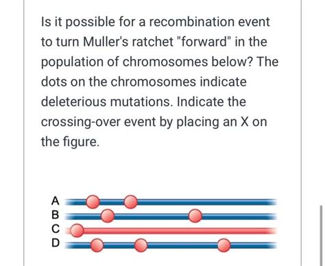 Solved Is It Possible For A Recombination Event To Turn