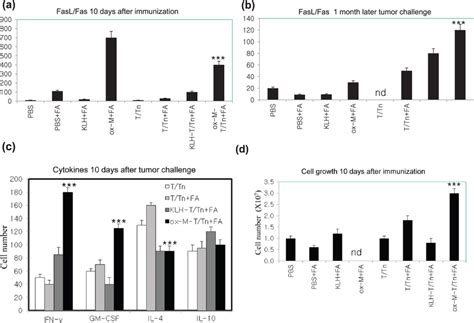 Cellular Immunity After Ttn Immunization Splenocytes From Immunized