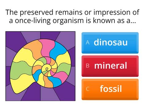 fossils color by numbers quiz