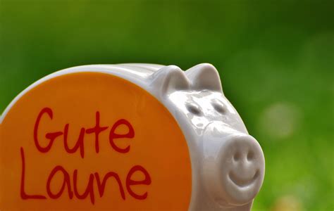 무료 이미지 손 녹색 세라믹 음주 노랑 웃음 닫다 피부 이상한 돼지 저금통 웃는 좋은 분위기 매크로 사진 이모티콘 3000x1905