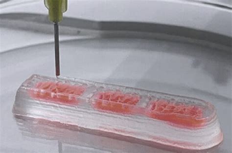 innovative direct ink writing method allows variable softness in 3d
