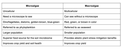 Unique Benefits Of Macroalgae And Microalgae In Agriculture