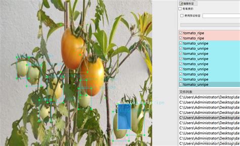 数据集 目标检测 西红柿成熟度检测数据集vocyolo格式3241张5类别 Csdn博客