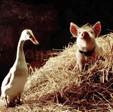 Pin de Sƚαɾԃυʂƚ Iʋყ em ʙᴇʟᴏᴠᴇᴅ sᴛᴏʀɪᴇs