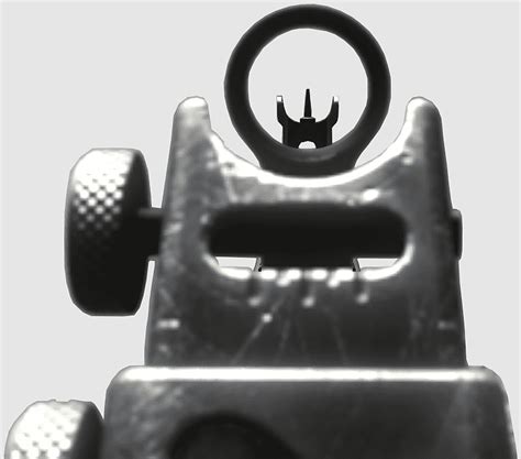 Cod Ghosts Remington R5 Iron Sights