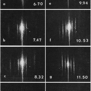 X Ray Diffraction Patterns From Living Single Muscle Fibers At A Download Scientific Diagram