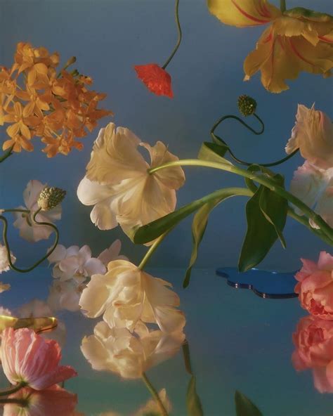 Instagram Flower Accounts Instagram Accounts For Flower Lovers