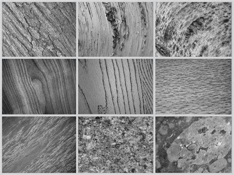 Random Samples From Uiuc Texture Dataset Download Scientific Diagram