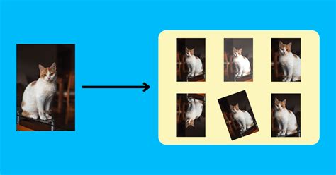 An Intuitive Guide On Data Augmentation In Deep Learning Techniques With Examples