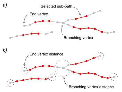 Euclidean Graphs As Curvilinear Feature Descriptors Encyclopedia Mdpi