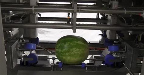 [video] Mechatronics In Motion On Linkedin Industrialautomation Motioncontrol Mechatronics