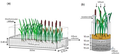 Processes Free Full Text Removal Of Emerging Pollutants In Horizontal Subsurface Flow And