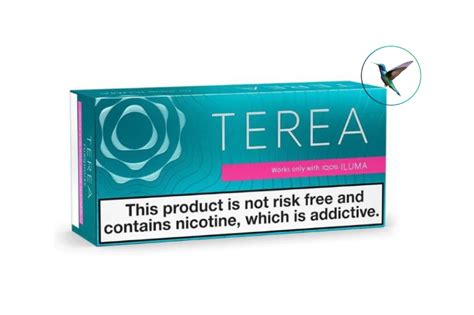 فیلتر یا سیگار ترا تریا اروپایی تورکویز Terea Turquoise آیکاس