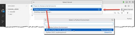 Persisting Python Environment When Using Jupyter N Sap Community