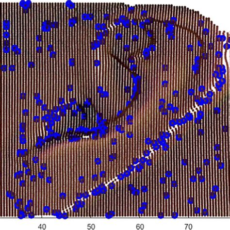 Outline Of The Proposed Hybrid Descriptor A Probe Blue And Gallery Download Scientific