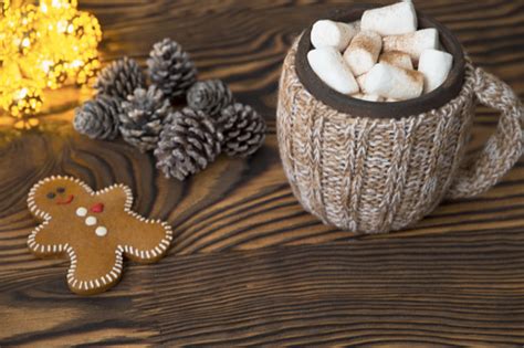 마 시 멜로와 크리스마스 조명과 소나무 배경에 맛 있는 진저 쿠키 음료 한잔 갈색에 대한 스톡 사진 및 기타 이미지 갈색 겨울 계절 Istock