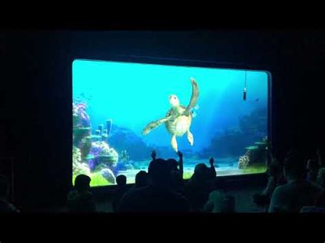 Finding Nemos Turtle Talk With Crush Disney California Adventure