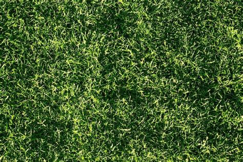 Premium Photo Green Grass Background Texture With Grunge Lighting And