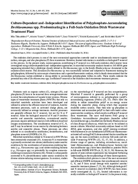 Pdf Culture Dependent And Independent Identification Of Polyphosphate Accumulating