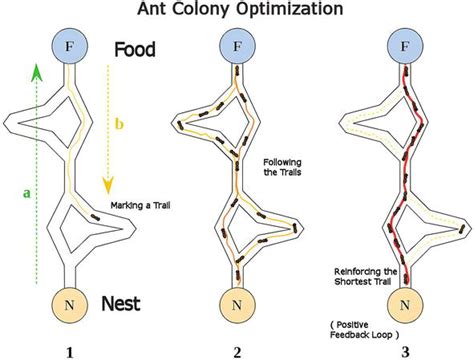 Ant Colony Optimization Based Models For Agriculture Price Forecasting