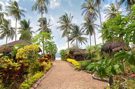 Beautiful Tropical Gardens Photos Historyofdhaniazin95