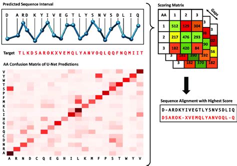 Protein Sequence Alignment Algorithm Interval Of The Predicted