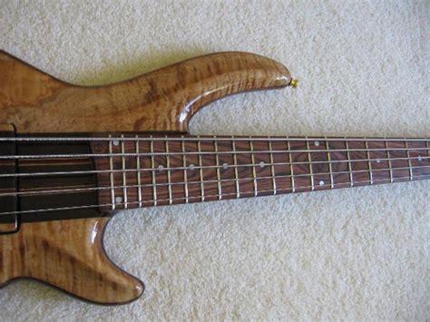 5 String Custom Deluxe Bass Vadim Custom Made Basses