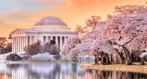 Understanding The Proposed New Clean Air Act § 111 Rule On Fossil Fuel