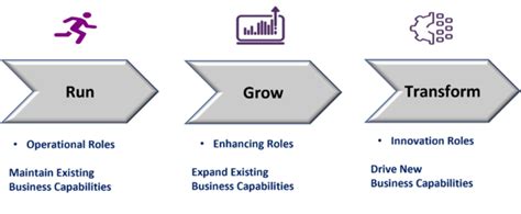 run grow transform rgt model cio wiki