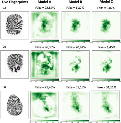 Occlusion Method On The Proposed Approach Stages A Live Fingerprint